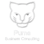Puma Business Consulting – Impulsamos el crecimiento seguro y ...